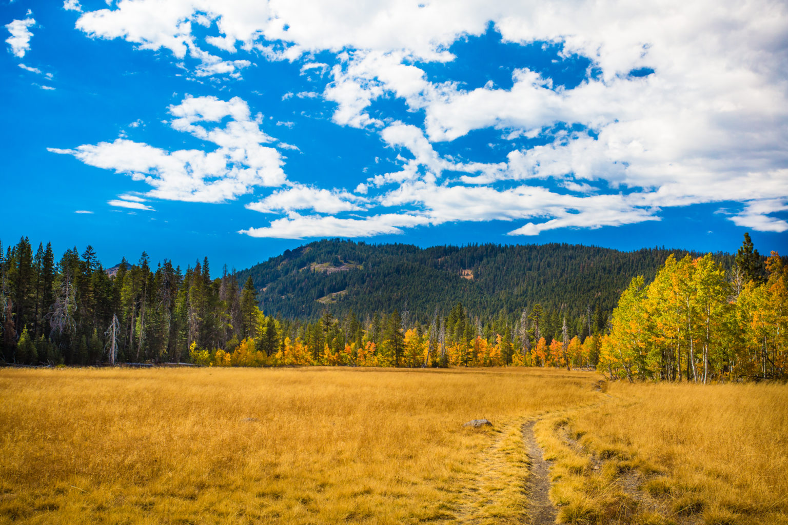 About Placer County: Every County Has a Story—This is Ours | Visit Placer