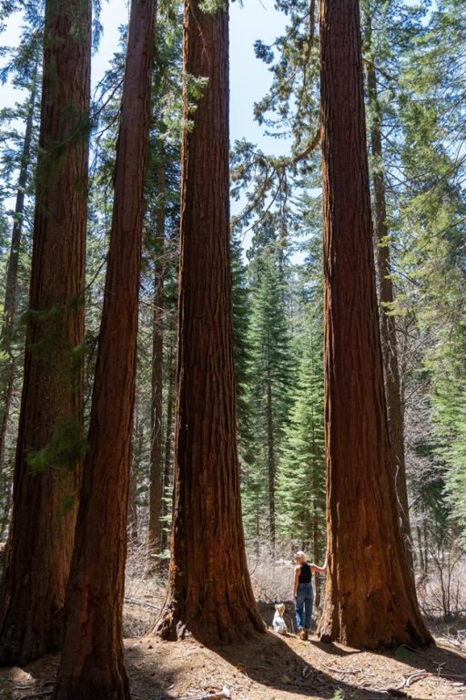 A Weekend in Foresthill, CA | Visit Placer